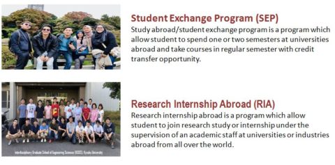 Outbound Mobility Programs | UTM International